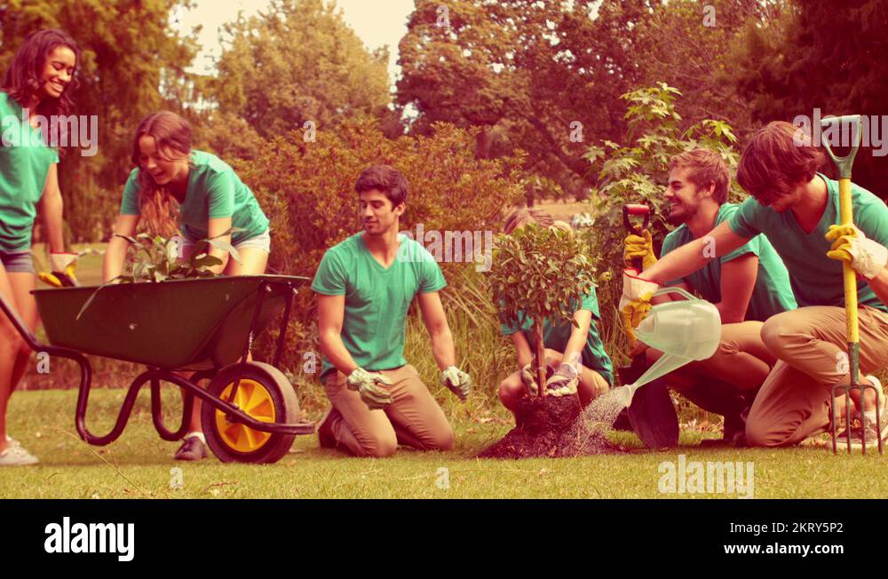 Group gardening Stock Videos & Footage - HD and 4K Video Clips - Alamy