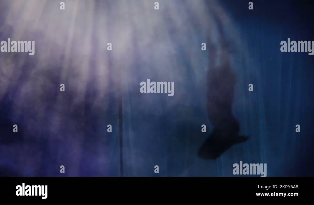 Circus performance in spotlight Stock Videos & Footage - HD and 4K ...