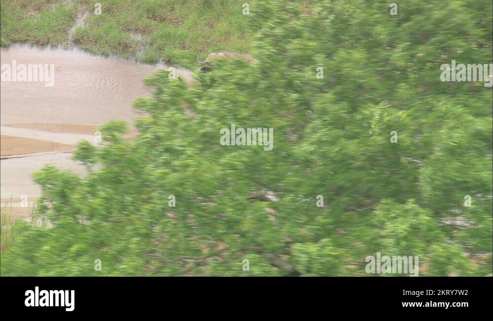 South africa water Stock Videos & Footage - HD and 4K Video Clips - Alamy
