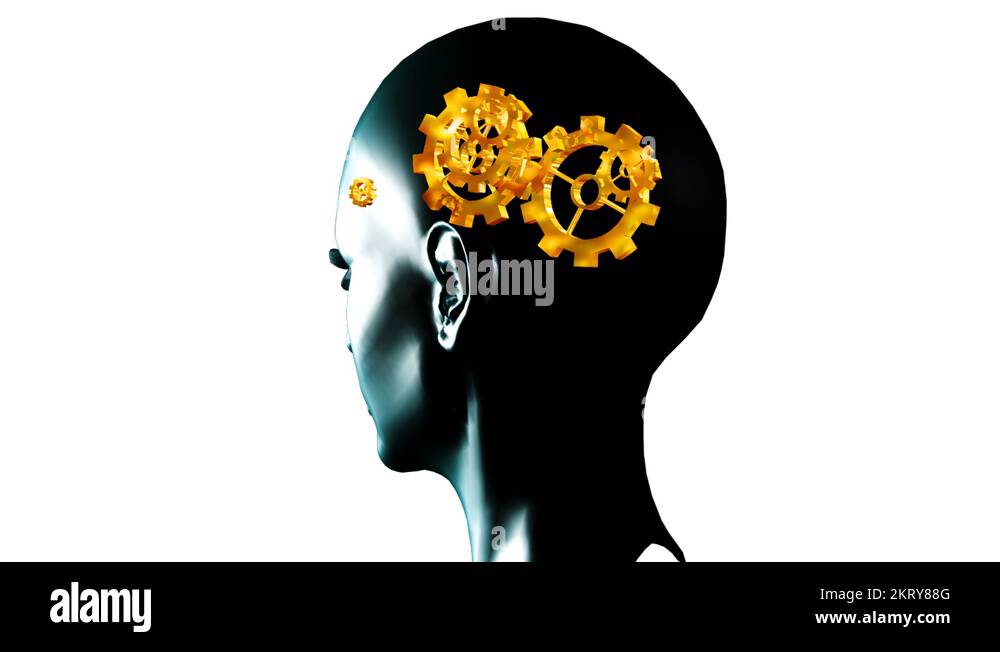 Human head gears work outline Stock Videos & Footage - HD and 4K Video ...