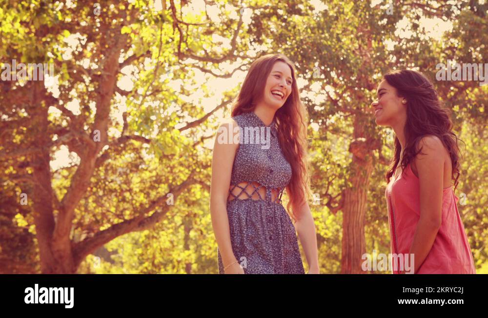 Friends talking laughing park Stock Videos & Footage - HD and 4K Video ...
