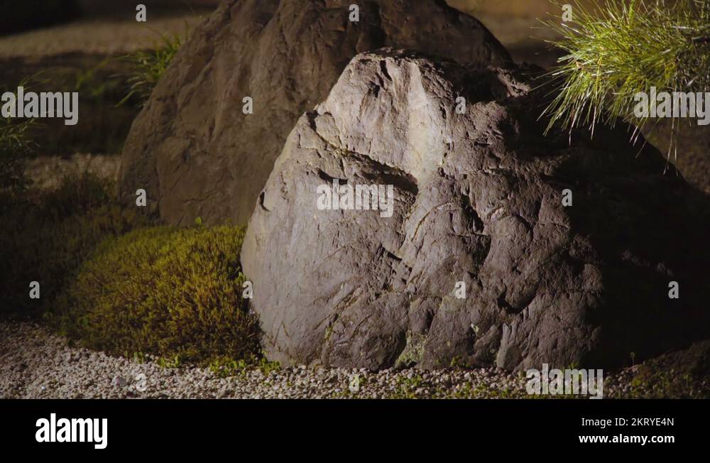 Japanese dry-landscape rock garden in Kyoto, Japan at night Stock Video ...