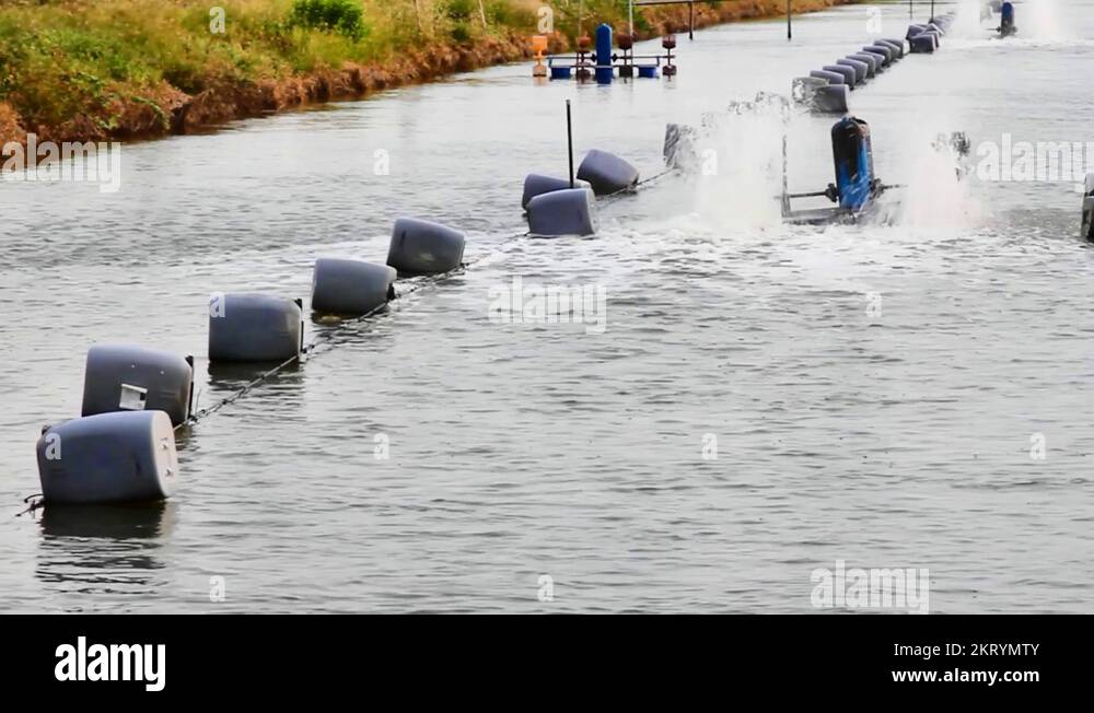 Aquaculture fish and prawn farm with wave creator to circulate water ...