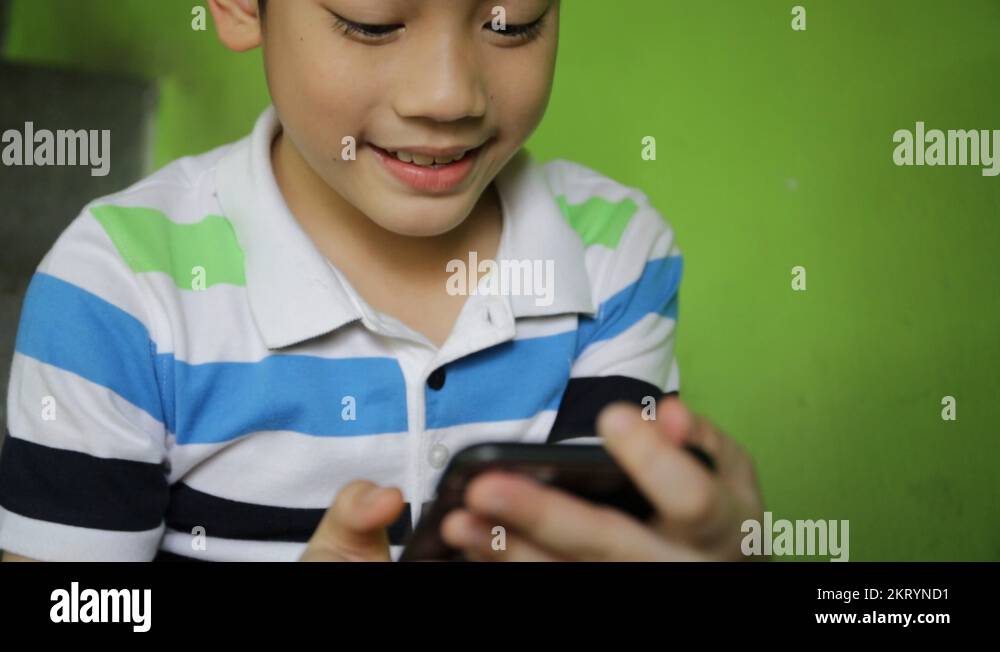 Asian ladder Stock Videos & Footage - HD and 4K Video Clips - Alamy