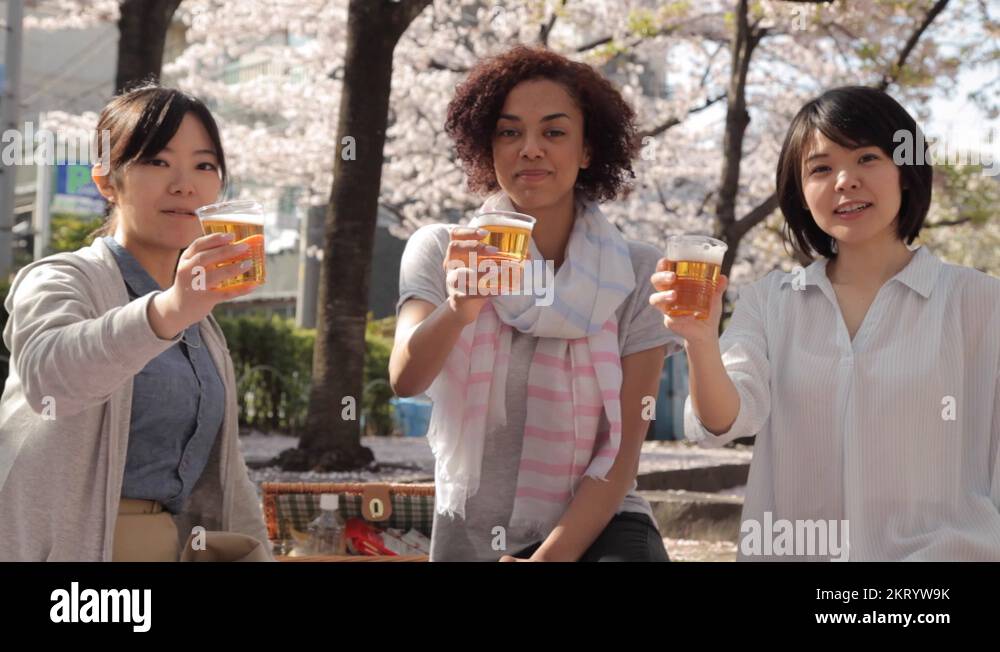 Multi-ethnic young women toasting during hanami party in Tokyo Stock ...
