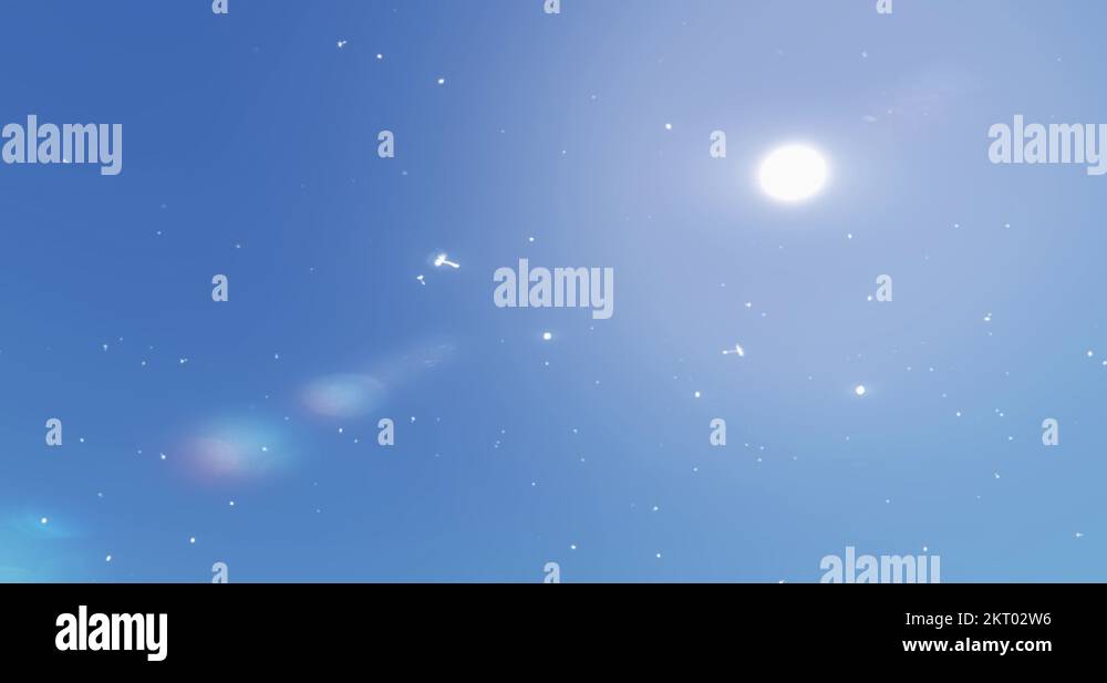 Airborne seed dispersal Stock Videos & Footage - HD and 4K Video Clips ...