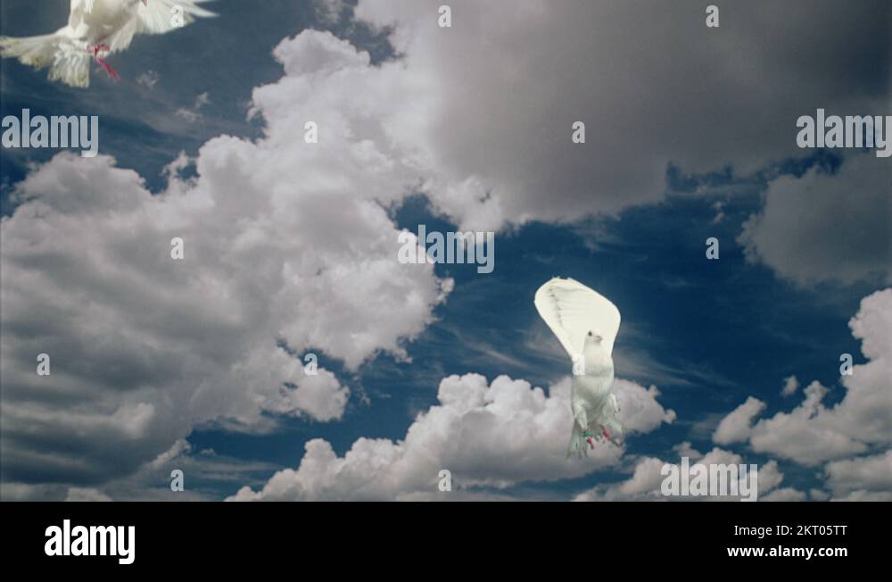 White clouds and doves Stock Video Footage - Alamy