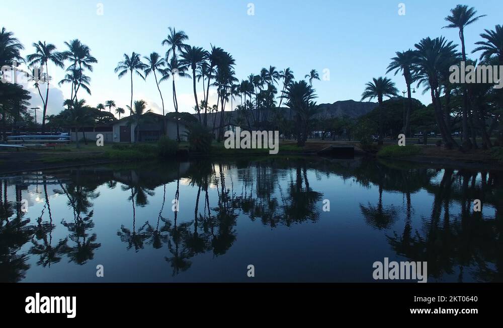 Wai wai Stock Videos & Footage - HD and 4K Video Clips - Alamy