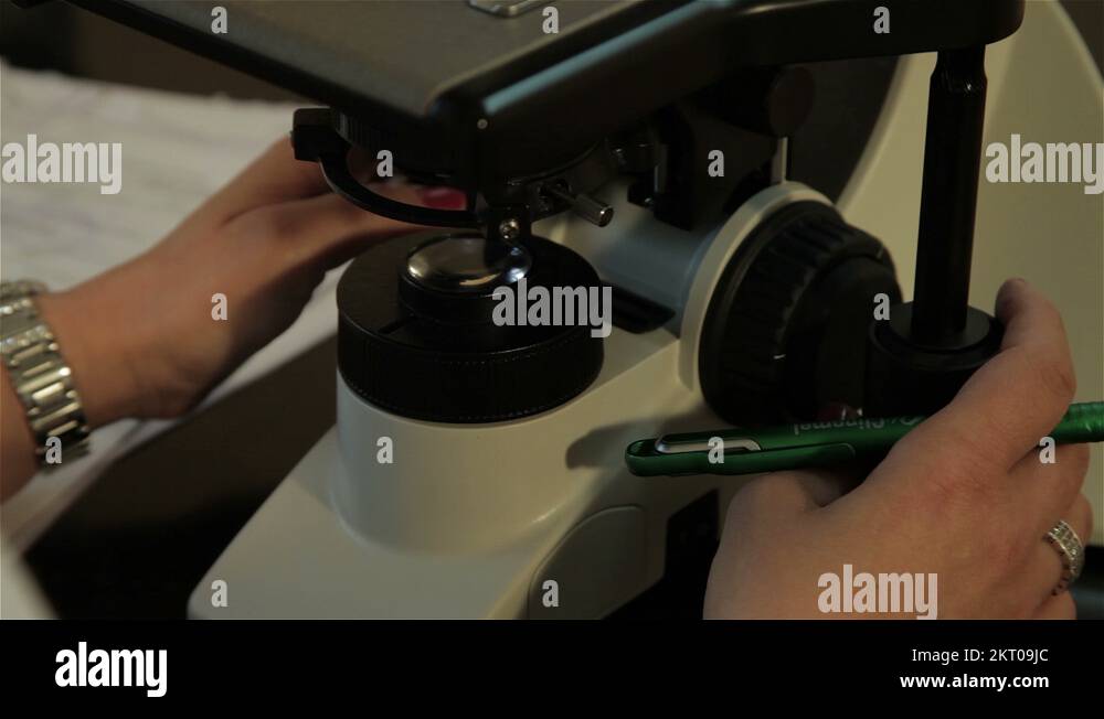Pathology. Doctor analyzing tissue sample with microscope, tilt up ...