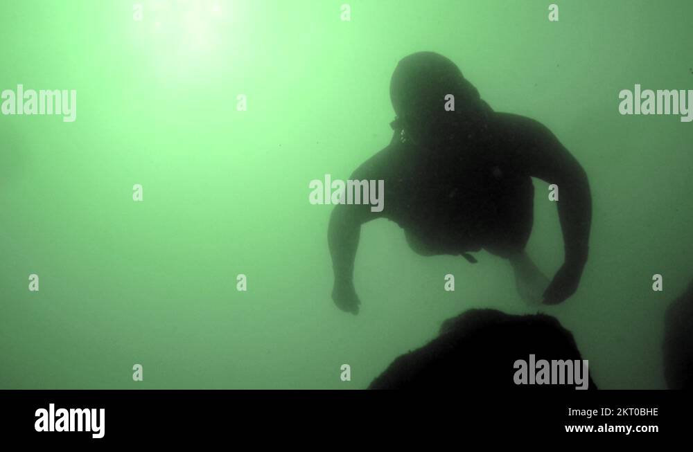 Diving downwards Stock Videos & Footage - HD and 4K Video Clips - Alamy