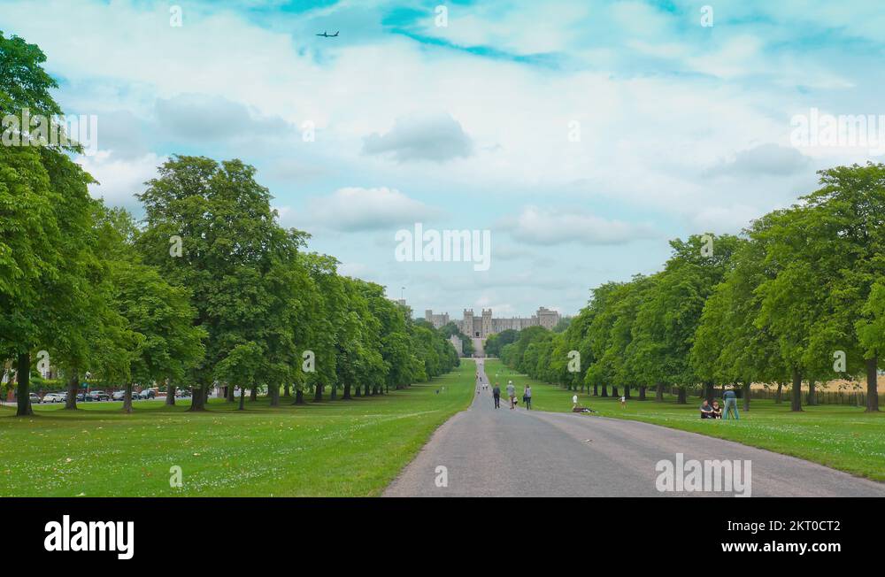Windsor great park tree Stock Videos & Footage - HD and 4K Video Clips ...