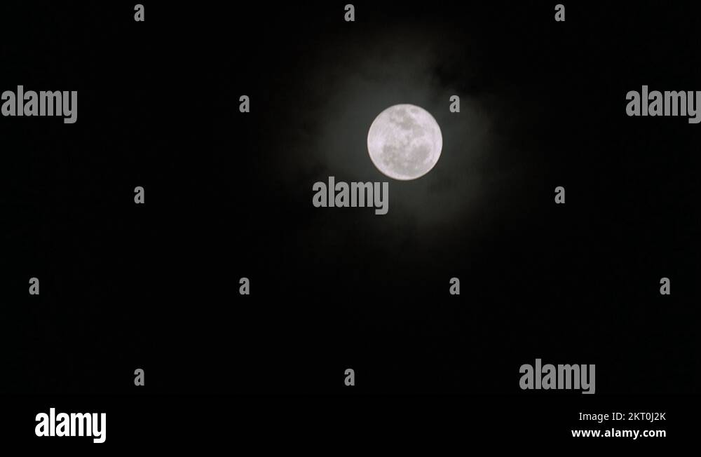 Full body veil Stock Videos & Footage - HD and 4K Video Clips - Alamy