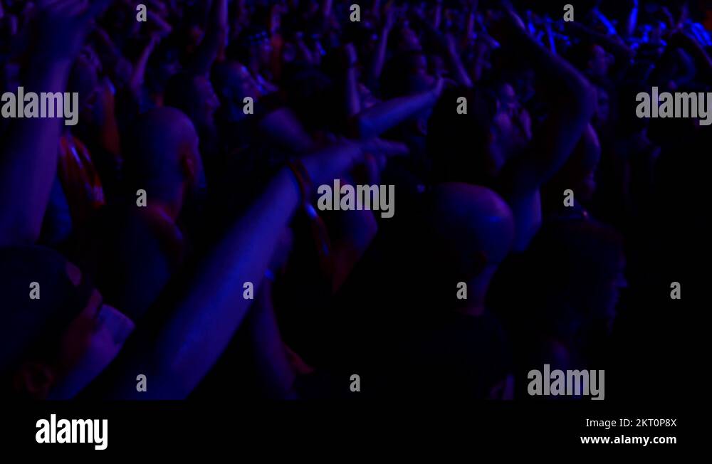 Mosh pit Stock Videos & Footage - HD and 4K Video Clips - Alamy