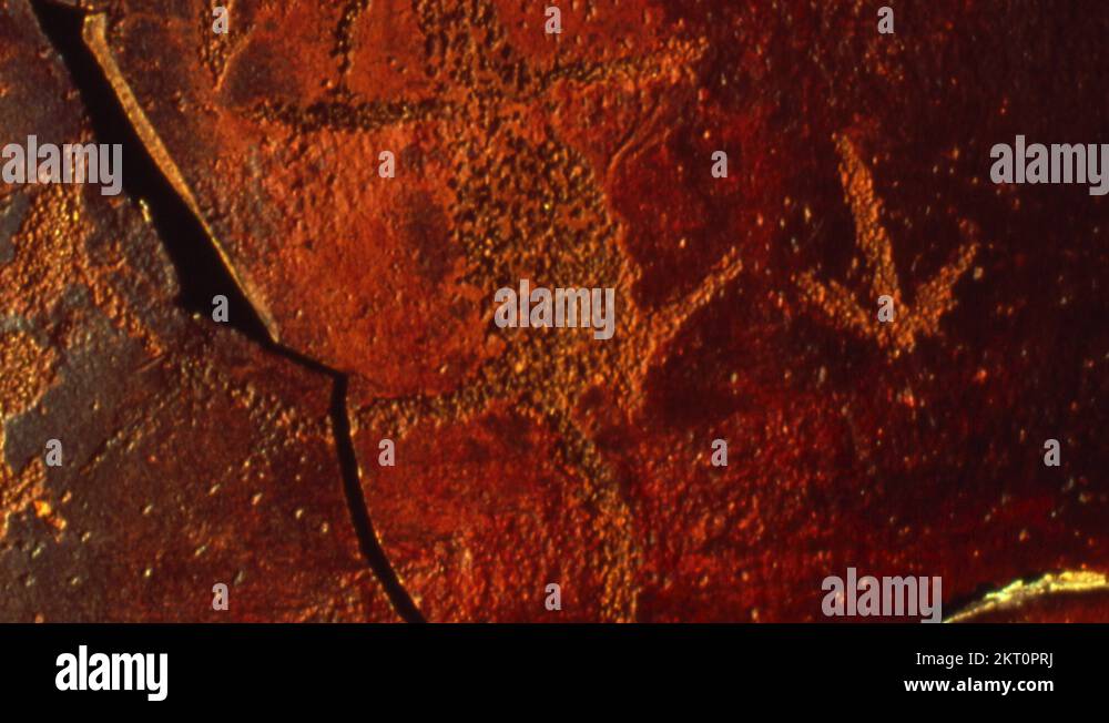 Yugambeh Stock Videos & Footage - HD and 4K Video Clips - Alamy