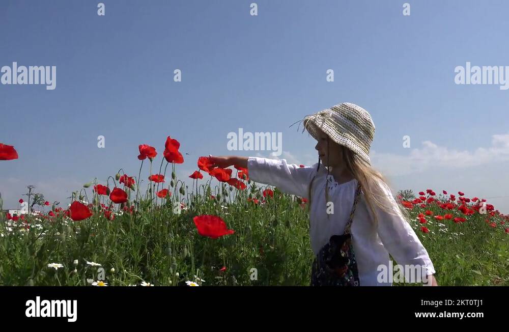 4K Happy Little Girl Walking Poppy Flowers Field Playing Children ...