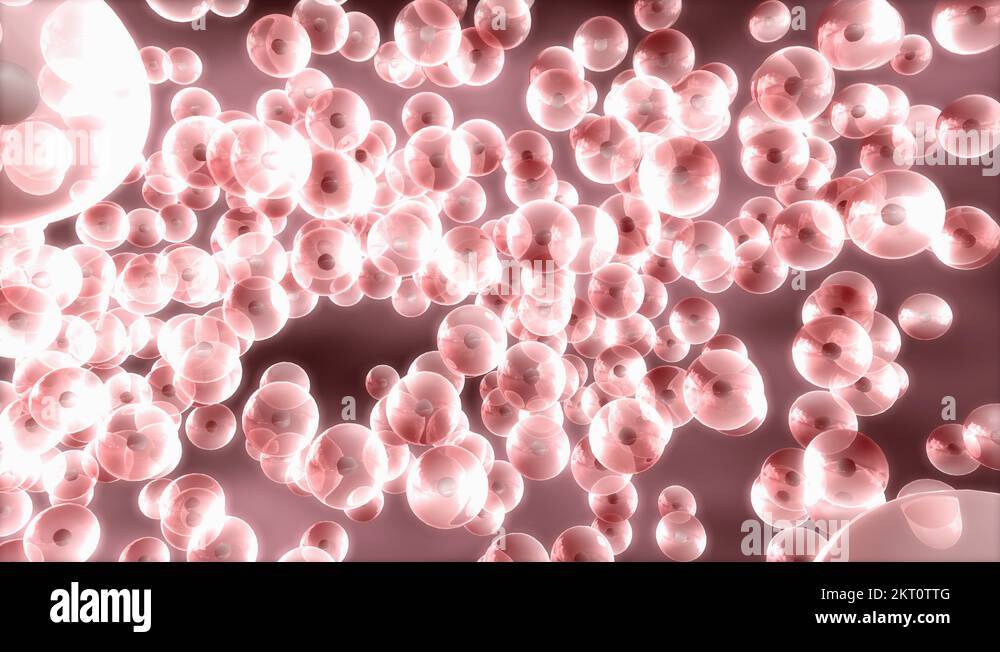 Human cell dividing Stock Videos & Footage - HD and 4K Video Clips - Alamy