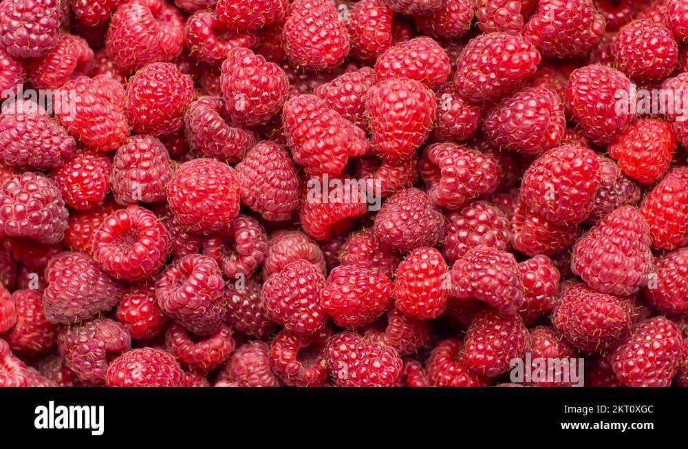 Raspberry background Stock Videos & Footage - HD and 4K Video Clips - Alamy