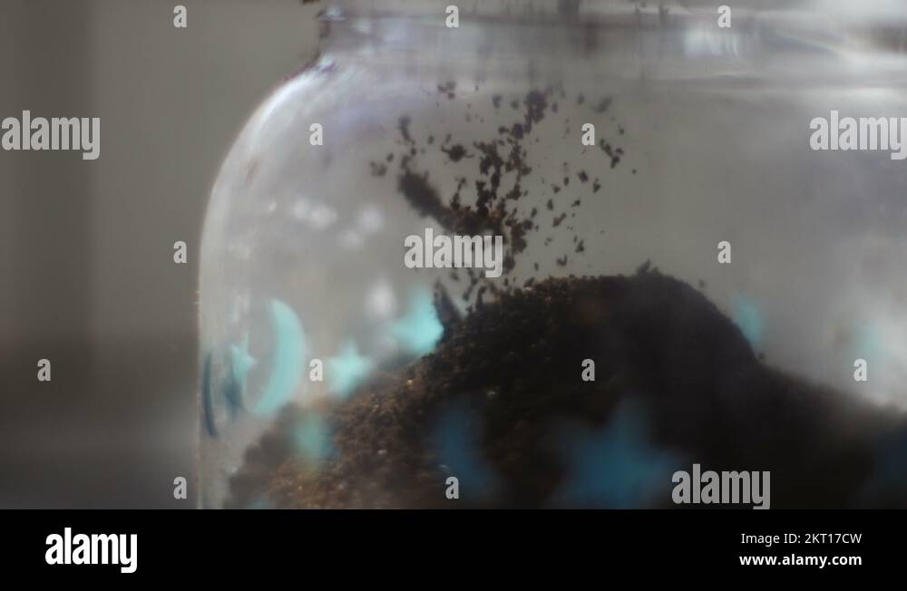 Coffee powder pot Stock Videos & Footage - HD and 4K Video Clips - Alamy
