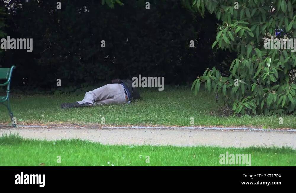 Drunk homeless bum alcoholic sleep Stock Videos & Footage - HD and 4K ...