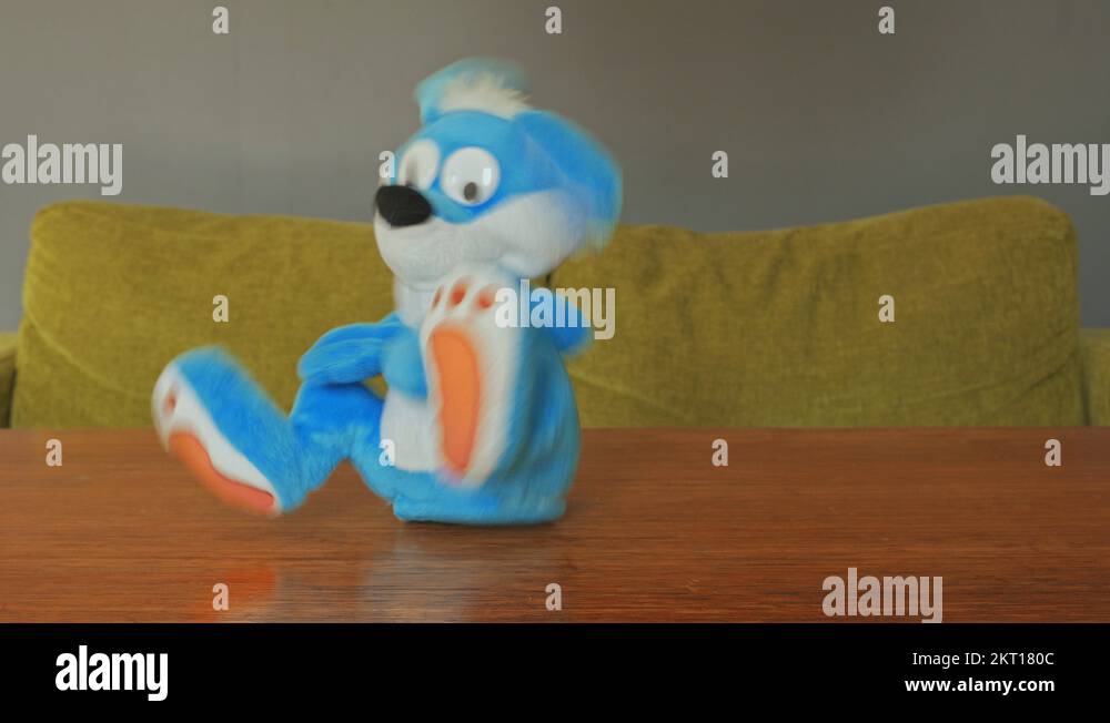 Animal laughing rabbit Stock Videos & Footage - HD and 4K Video Clips ...