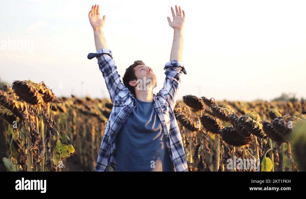 Field hands Stock Videos & Footage - HD and 4K Video Clips - Alamy
