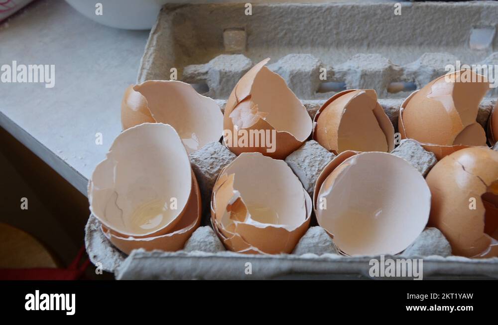 Egg shell shells Stock Videos & Footage - HD and 4K Video Clips - Alamy