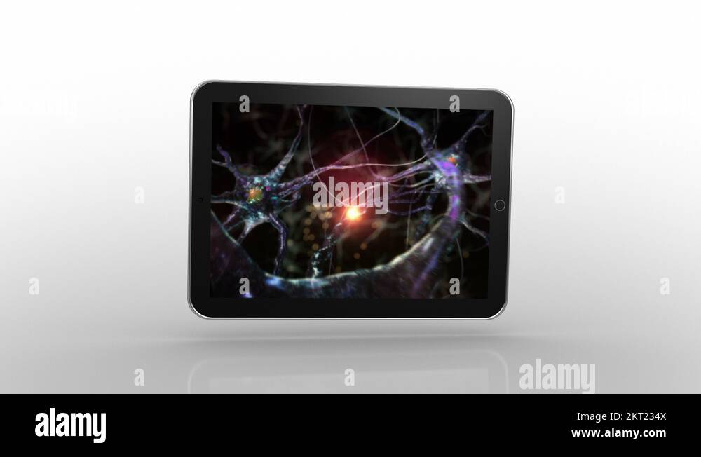 Synapse on nerve cell Stock Videos & Footage - HD and 4K Video Clips ...