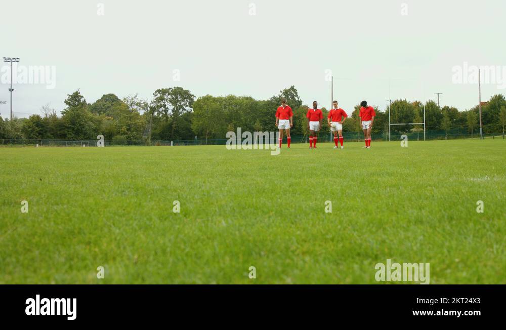 Mates together Stock Videos & Footage - HD and 4K Video Clips - Alamy