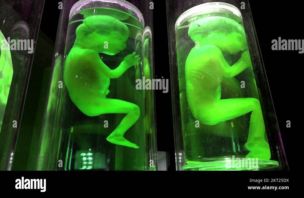 Alien anatomy Stock Videos & Footage - HD and 4K Video Clips - Alamy