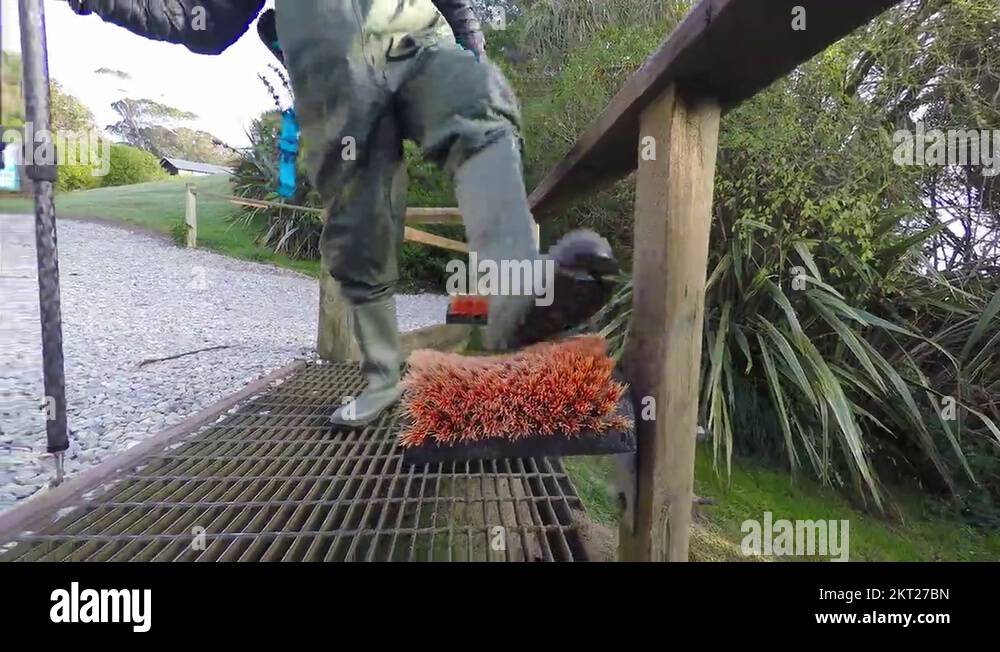 Cleaning muddy boots Stock Videos & Footage - HD and 4K Video Clips - Alamy