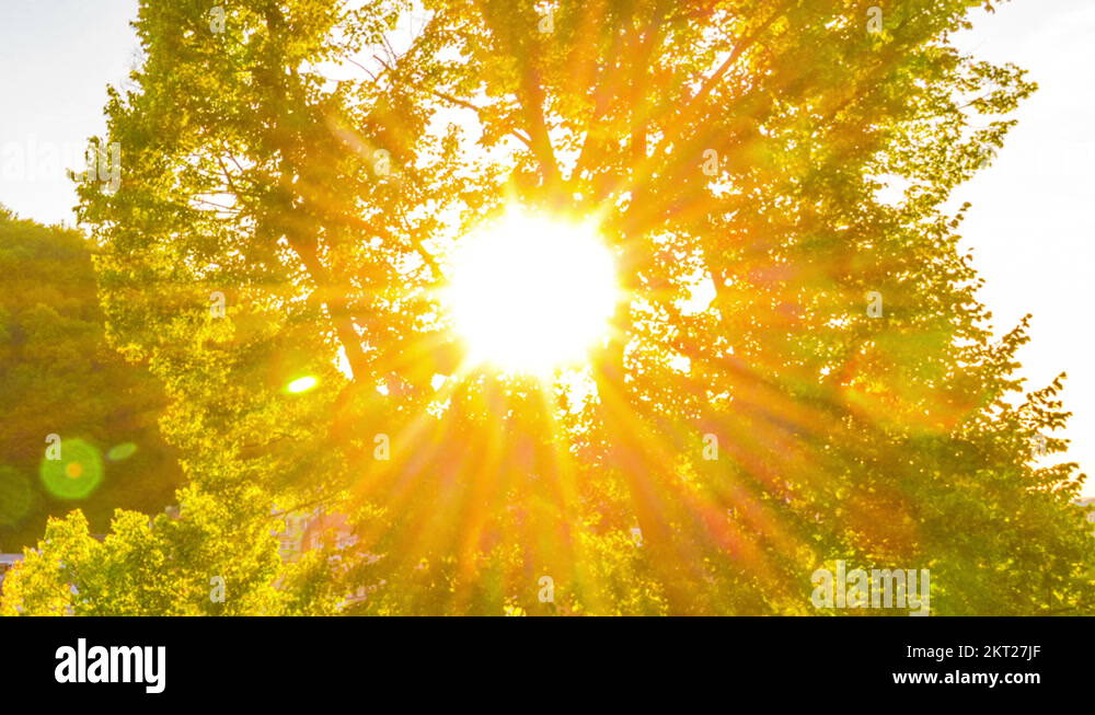 Lens flare sun Stock Videos & Footage - HD and 4K Video Clips - Alamy