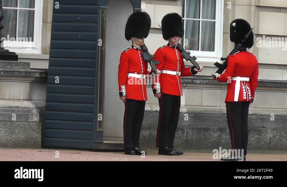 Sentry of the grenadier guards Stock Videos & Footage - HD and 4K Video ...