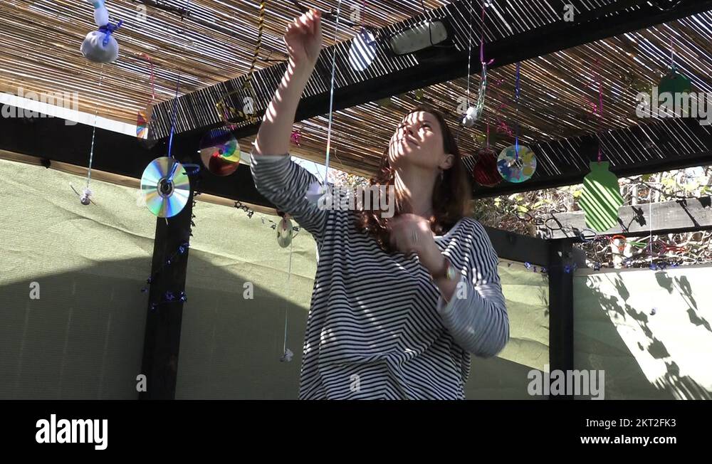 Jewish woman decorating here family Sukkah for the Jewish festival of ...
