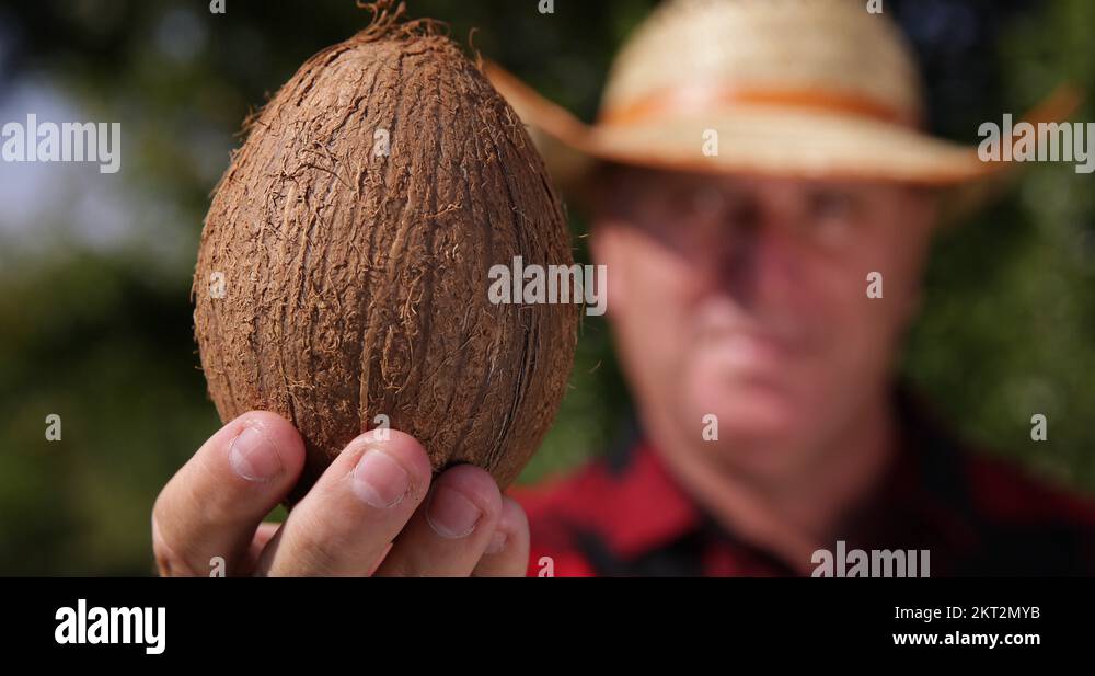 Coco nut trees Stock Videos & Footage - HD and 4K Video Clips - Alamy