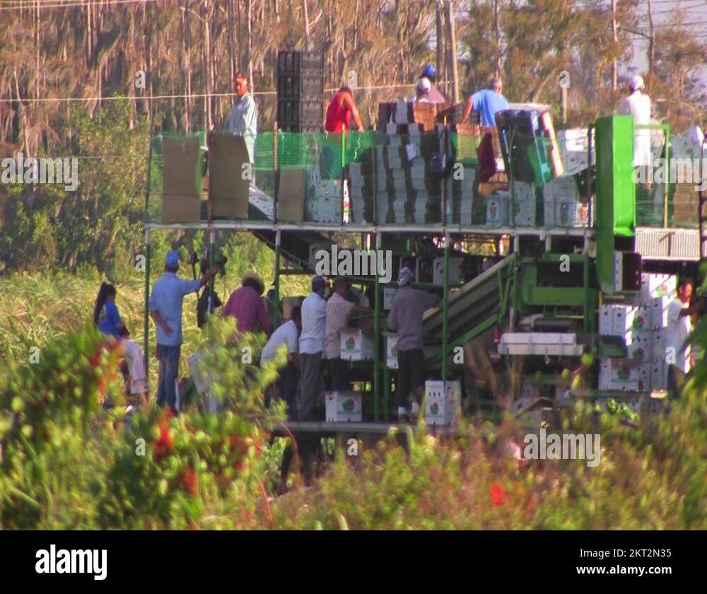 Produce machine Stock Videos & Footage - HD and 4K Video Clips - Alamy