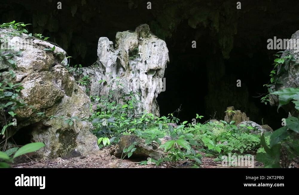 Jungle cave sliding scene Stock Video Footage - Alamy