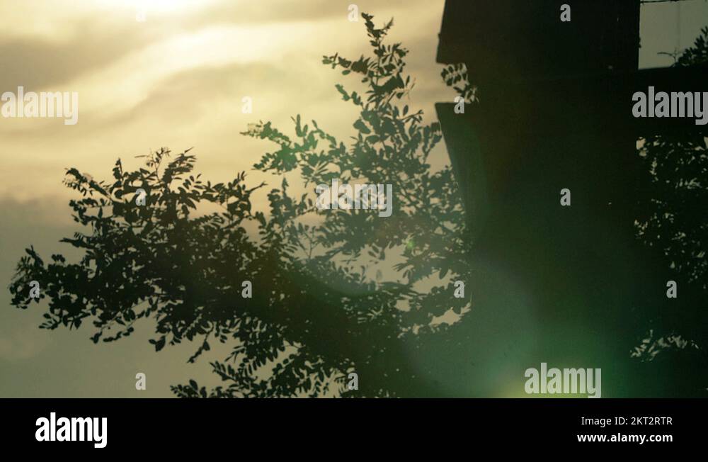 Barbed shield Stock Videos & Footage - HD and 4K Video Clips - Alamy