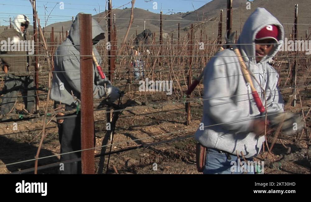 Lunch break workers Stock Videos & Footage - HD and 4K Video Clips - Alamy