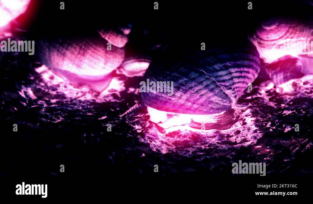 Tentacles art Stock Videos & Footage - HD and 4K Video Clips - Alamy