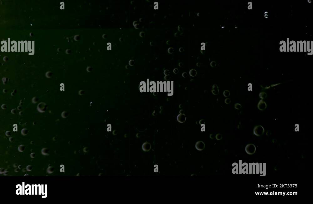 Suspended bubbles Stock Videos & Footage - HD and 4K Video Clips - Alamy