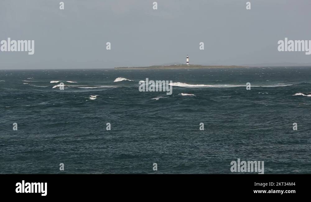 Dog island new zealand Stock Videos & Footage - HD and 4K Video Clips ...