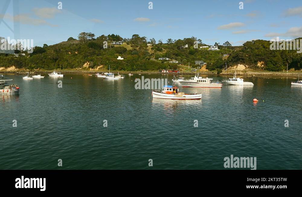 Fishing boats in Halfmoon Bay on Stewart Island, New Zealand Stock ...