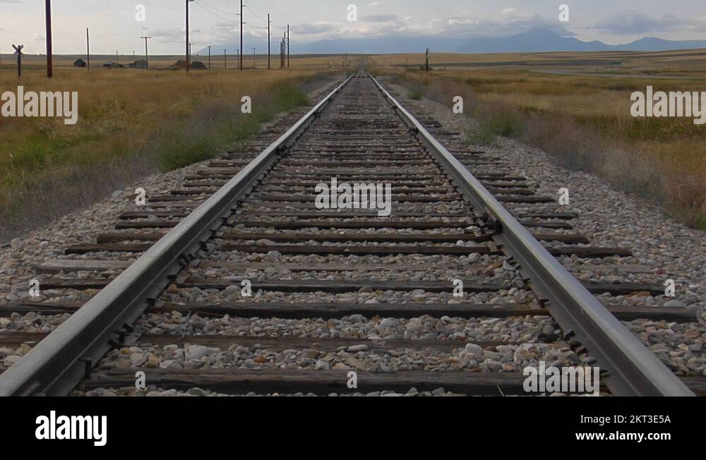 Grassy tracks Stock Videos & Footage - HD and 4K Video Clips - Alamy