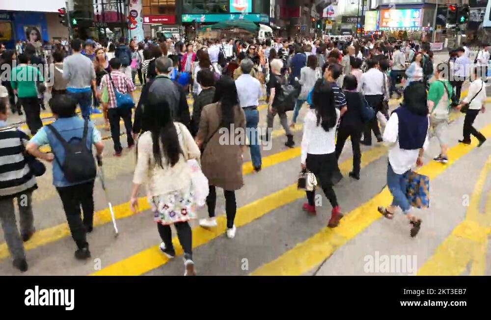 Zebra crossing overhead Stock Videos & Footage - HD and 4K Video Clips ...