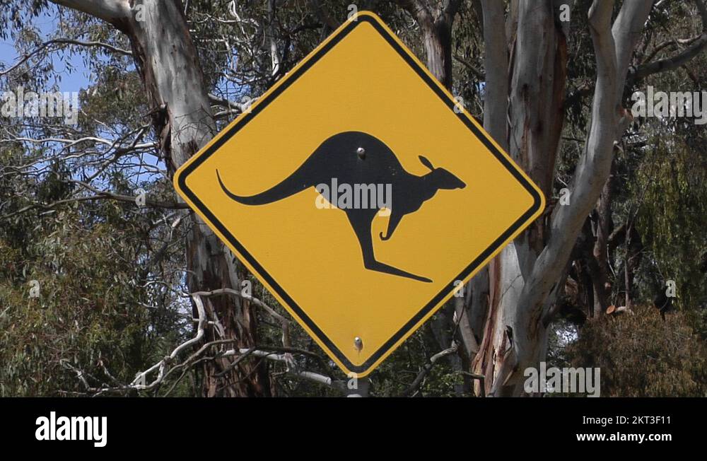 Kangaroo road signs Stock Videos & Footage - HD and 4K Video Clips - Alamy