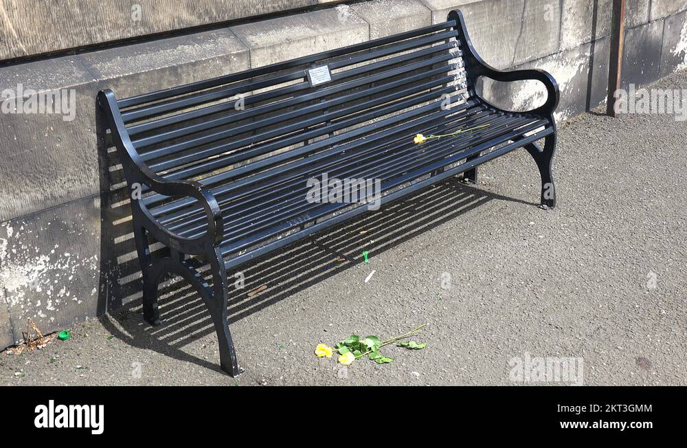 Crushed flowers Stock Videos & Footage - HD and 4K Video Clips - Alamy