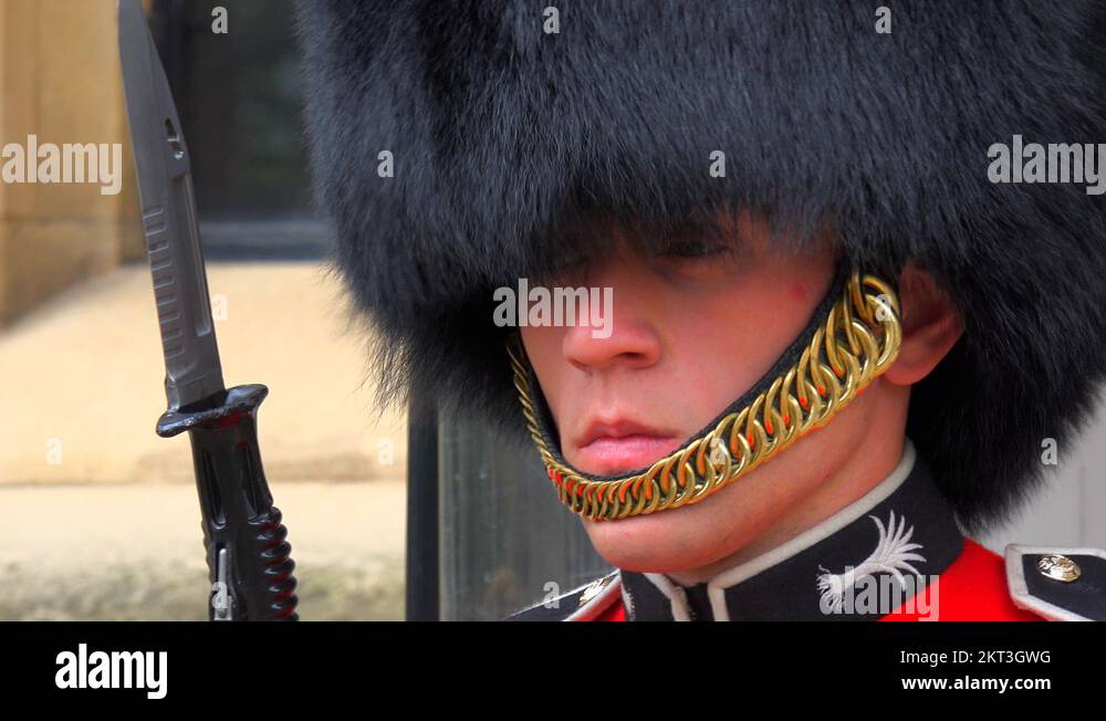 Buckingham palace beefeater Stock Videos & Footage - HD and 4K Video ...