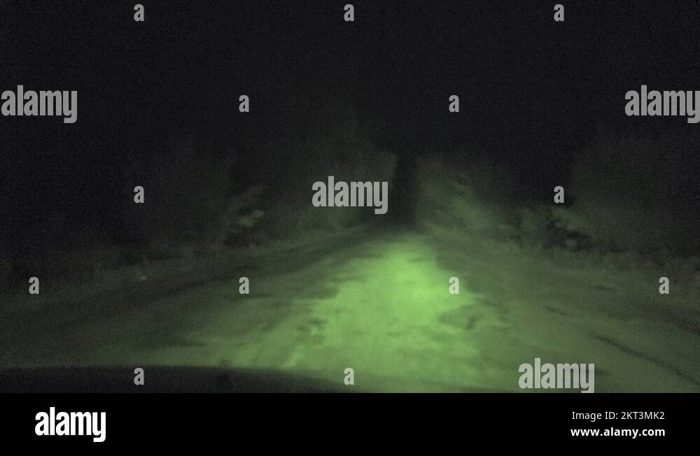 Highway road light night tree Stock Videos & Footage - HD and 4K Video ...