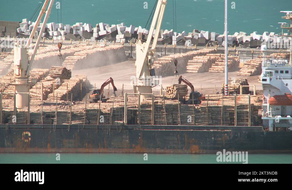 Log handling cranes Stock Videos & Footage - HD and 4K Video Clips - Alamy