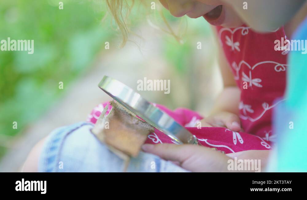 4K Portrait of little boy & girl looking at insects with magnifying ...